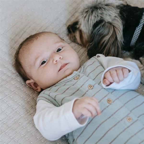 Poseidon K9 Dog Training – Poseidon K9 Dog Training