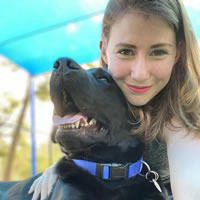 Poseidon K9 Dog Training – Poseidon K9 Dog Training