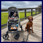 Poseidon K9 Dog Training – Poseidon K9 Dog Training